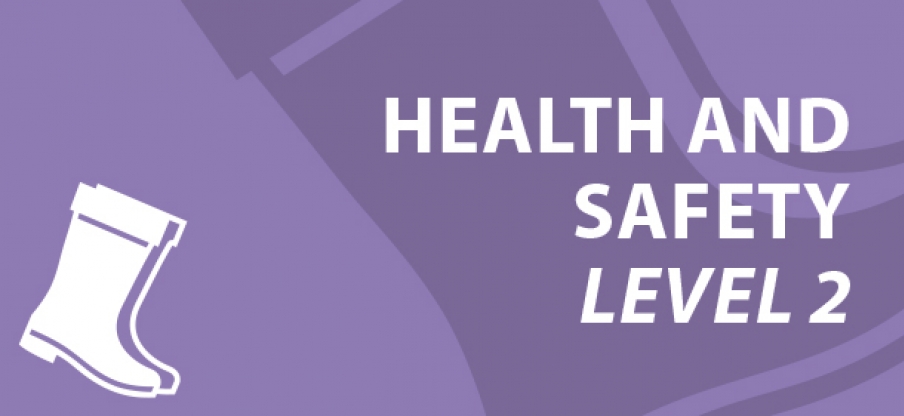 Health & Safety Level 2 - SFBB+